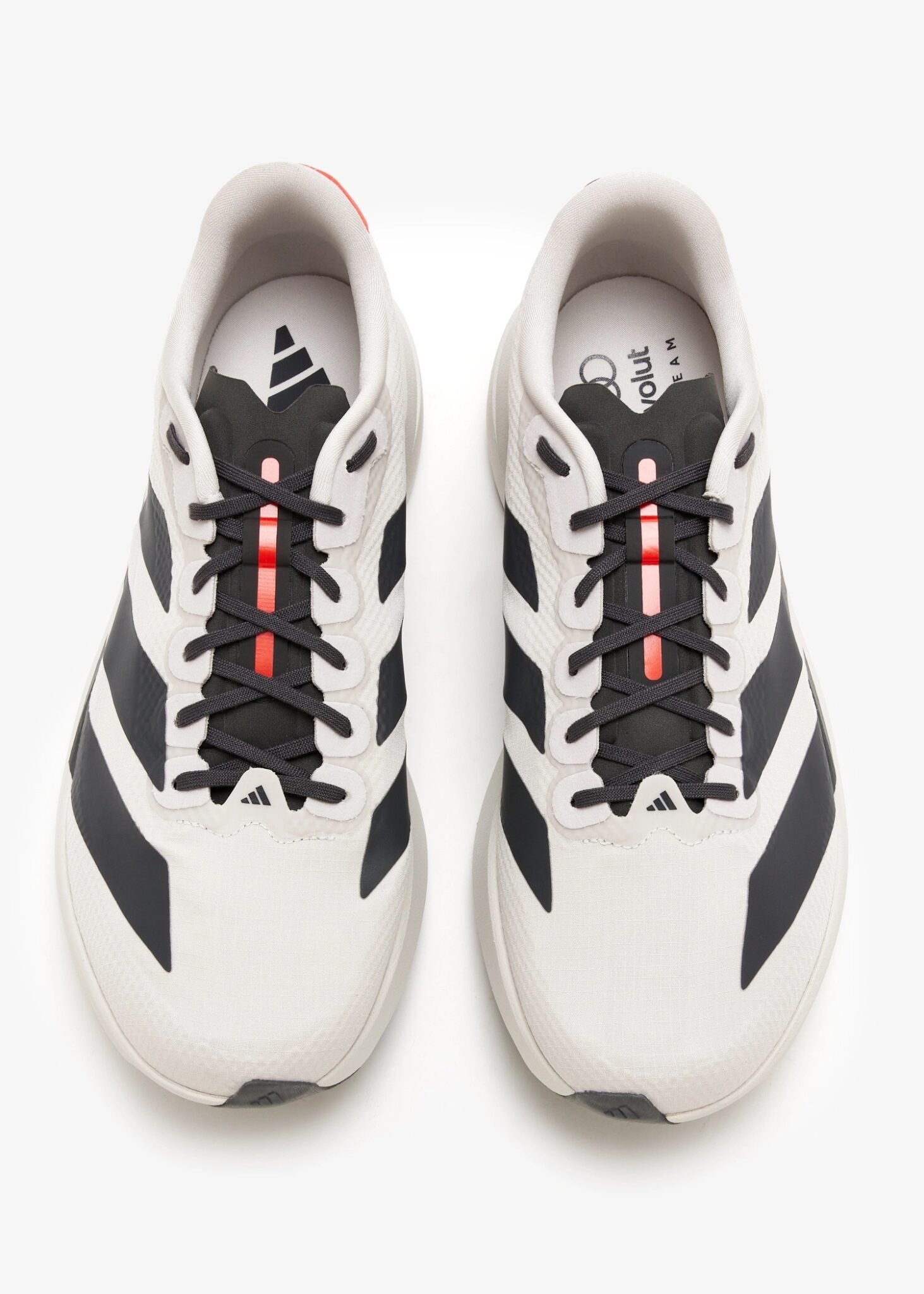 Adidas Evo SL Audi Chalk Pearl - Sigma Kicks